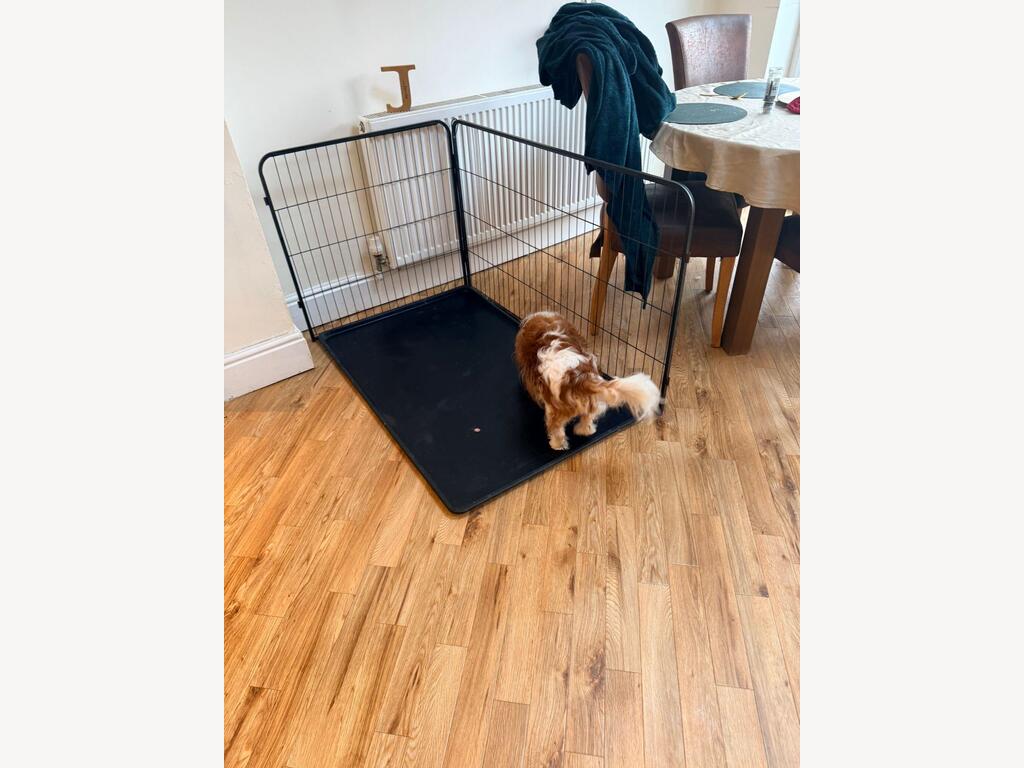 Used Land Rover Range Rover Sport Suv 3.0 Sd V6 Hse Red Auto 4wd Euro 5 ...