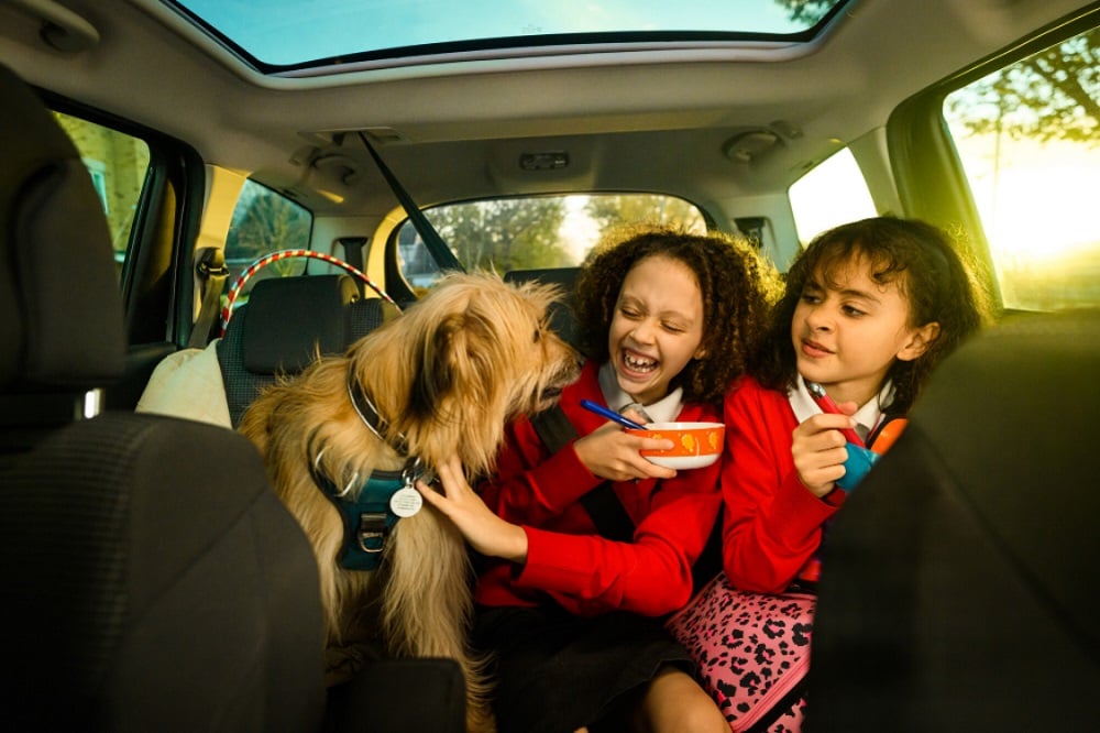 Best cars for dogs 2025 | Autotrader