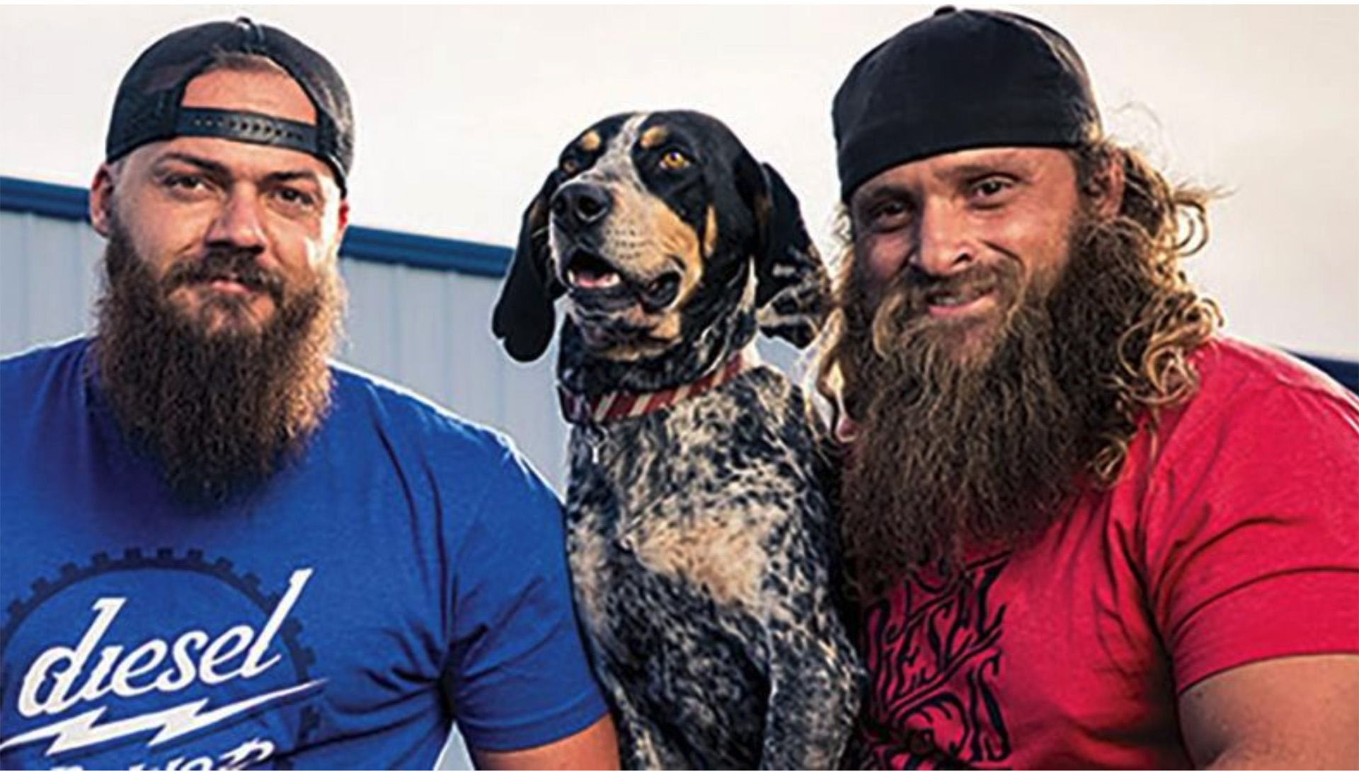 'Heavy D’ Sparks Interest With New Holland Construction Partnership ...