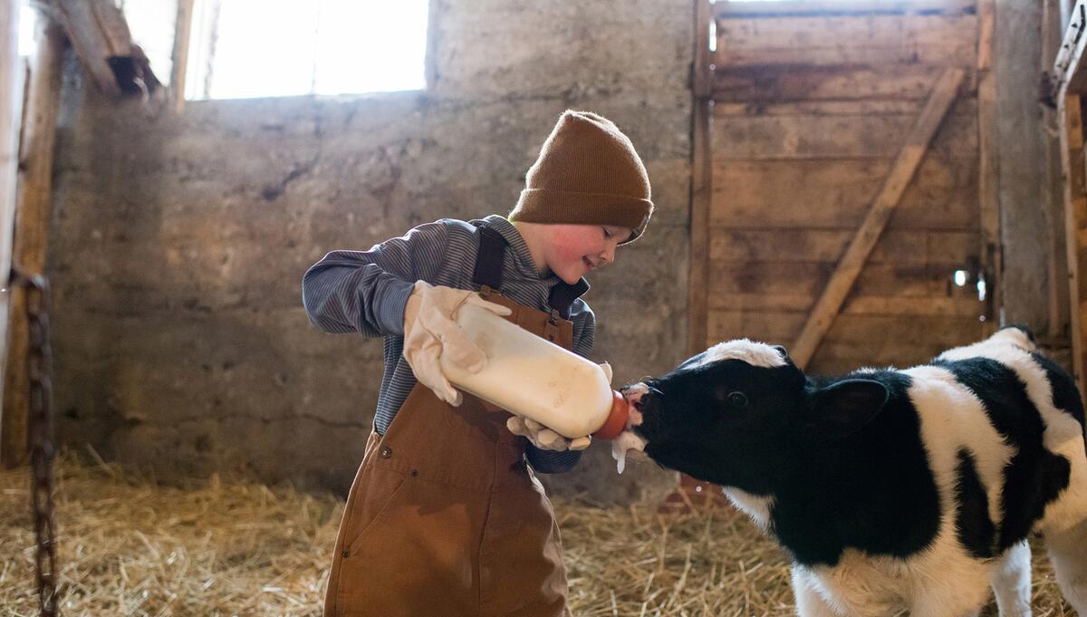 10 Life Experiences Children Can Only Get By Visiting A Farm | Auto ...