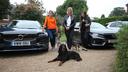 The REV Test: Dog-friendly cars | Auto Trader UK