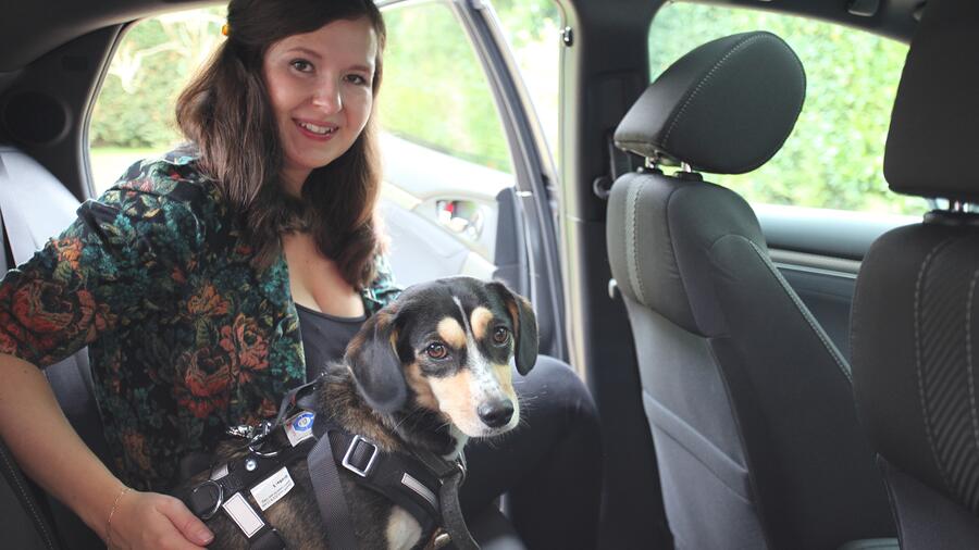 The REV Test: Dog-friendly cars | Auto Trader UK