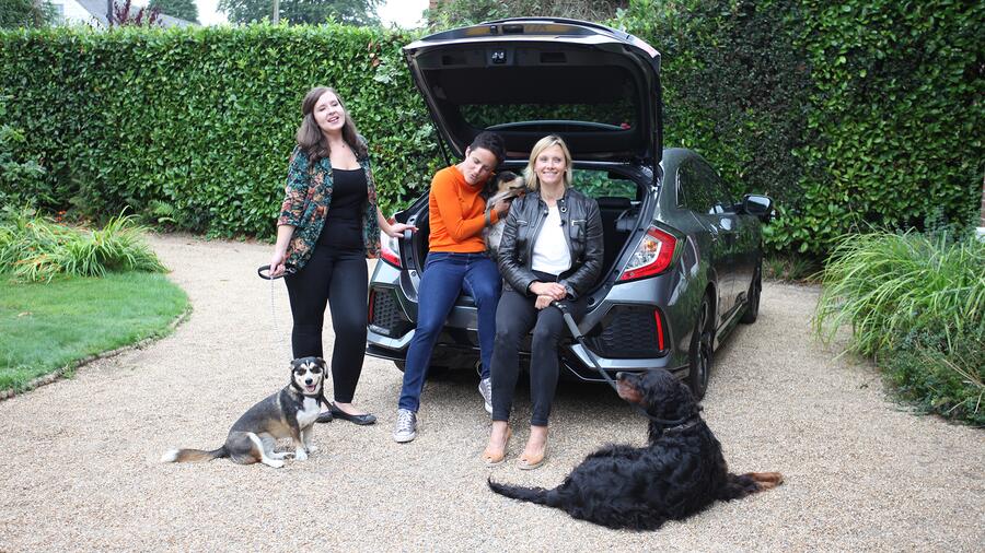 The REV Test: Dog-friendly cars | Auto Trader UK