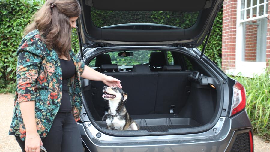 The REV Test: Dog-friendly cars | Auto Trader UK