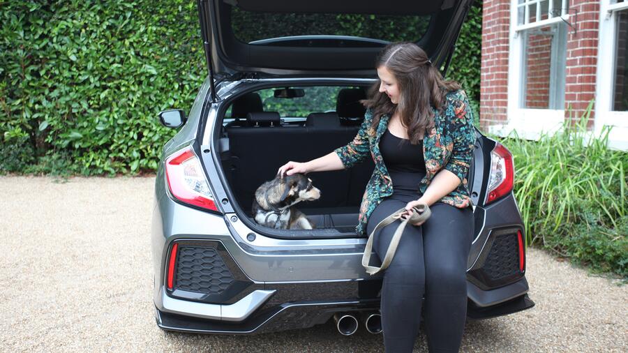 The REV Test: Dog-friendly cars | Auto Trader UK
