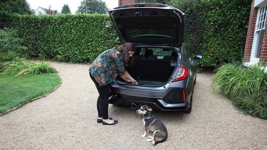 The REV Test: Dog-friendly cars | Auto Trader UK