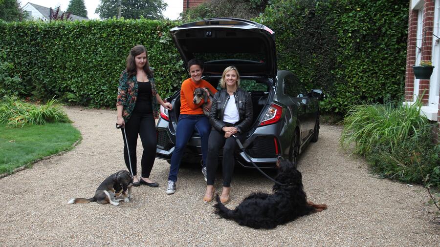 The REV Test: Dog-friendly cars | Auto Trader UK