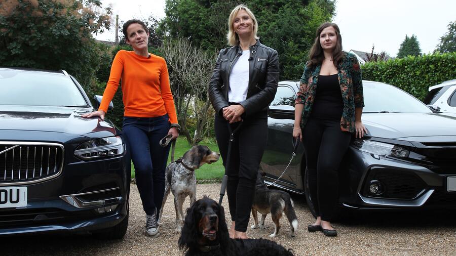 The REV Test: Dog-friendly cars | Auto Trader UK